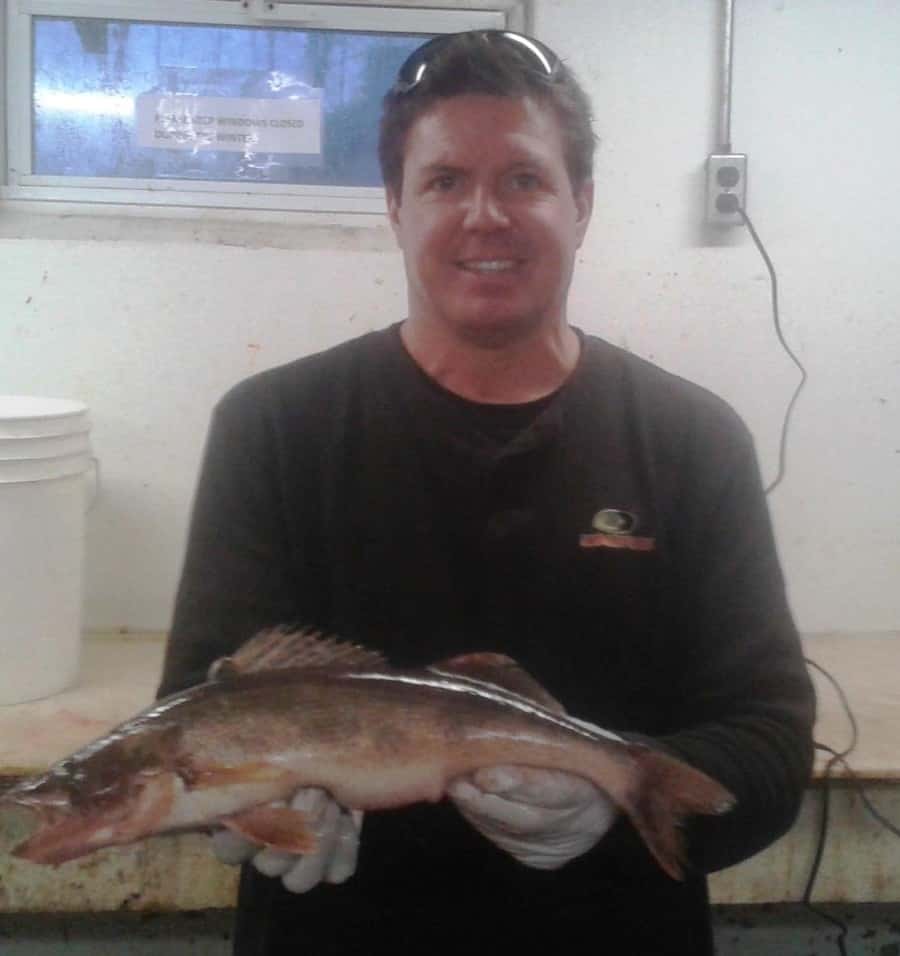 HUGE Sauger 18.75 inches caught by Mike V from Anchorage, Alaska on a ...