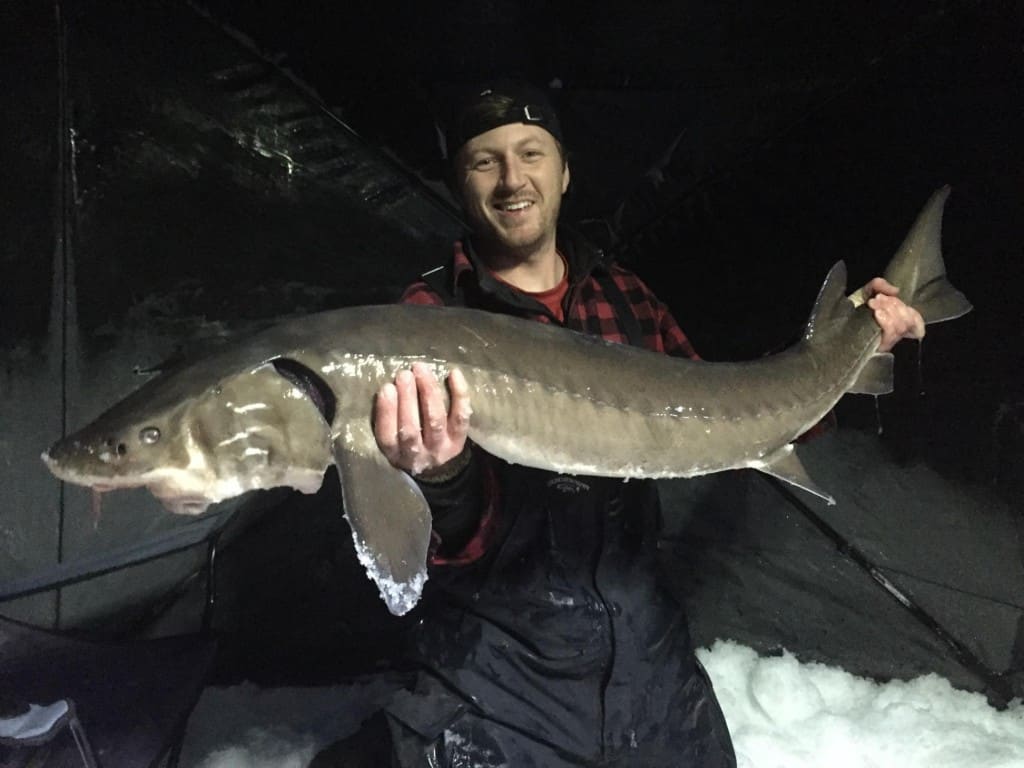 Wowser check out this monster pulled from the Rainy River by Dave ...