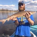 Reeling in sturgeon of all sizes. Captain Travis Campbell