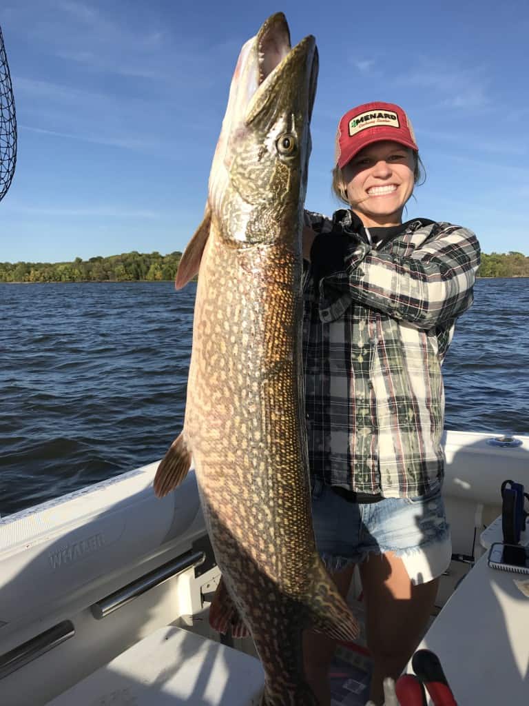 40 inch Pike Courtney Carlson